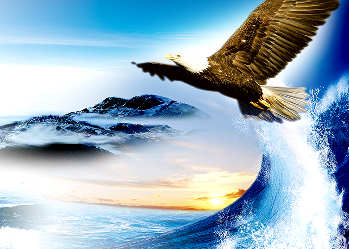 Jiangsu Yulong Steel Pipe Technology Co., Ltd. - 江苏玉龙钢管科技有限公司